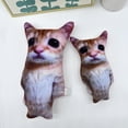 Charm Plushie Pillow Soft, Plush for Ages and Occasion Birthday ...