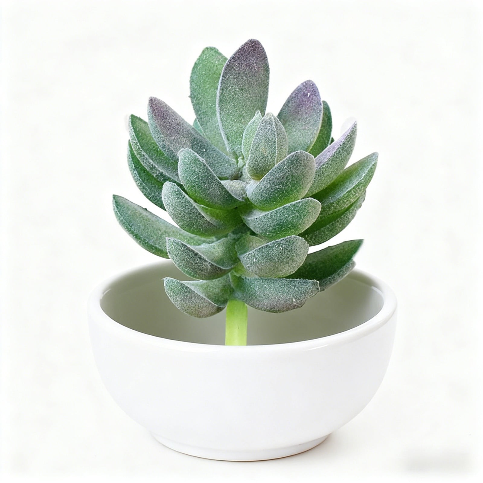 Click here for Vivavault Lifelike Succulent Arrangement For Home... prices