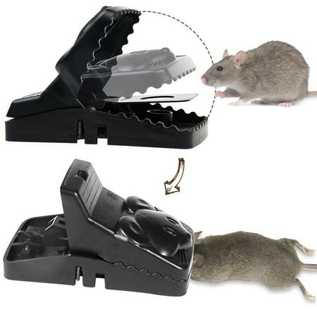 Lepai Mouse Trap, Mice Traps That Work Best Snap Traps for Small Mice ...