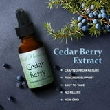 Best Botanicals Cedar Berry Extract 1 oz. - Walmart.com