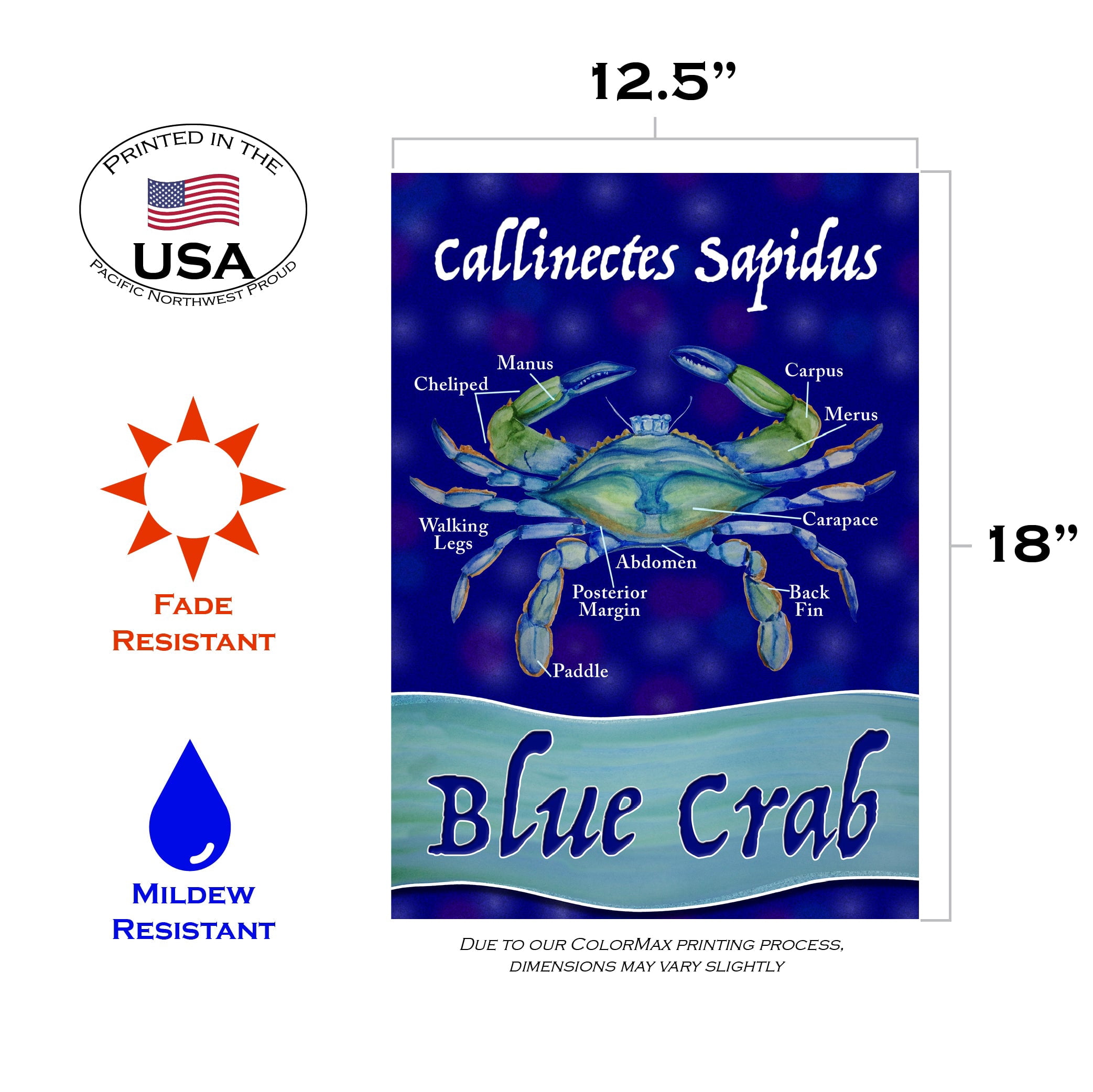 Blue Crab Diagram
