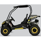 TRAILMASTER MID XRS Mid-Size Go Kart for Older Kids 10 to 14. 196 CC ...