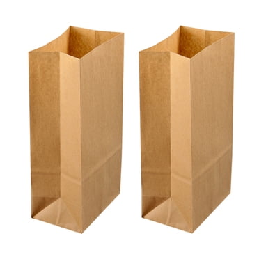 BagDream 100Pcs Paper Gift Bags 8x4.25x10.5 Brown Kraft Paper Bags with ...