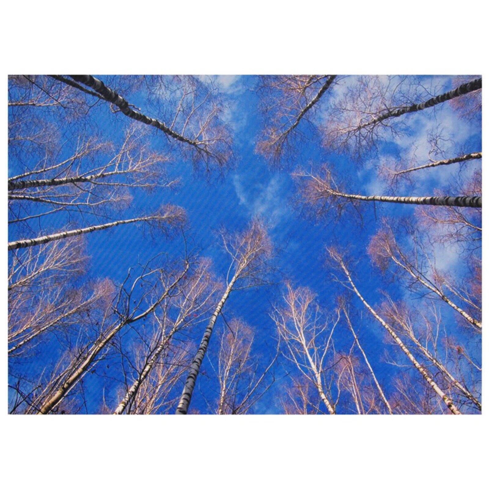 Oriental Furniture Treetops Canvas Wall Art, Treetop, printed on canvas ...