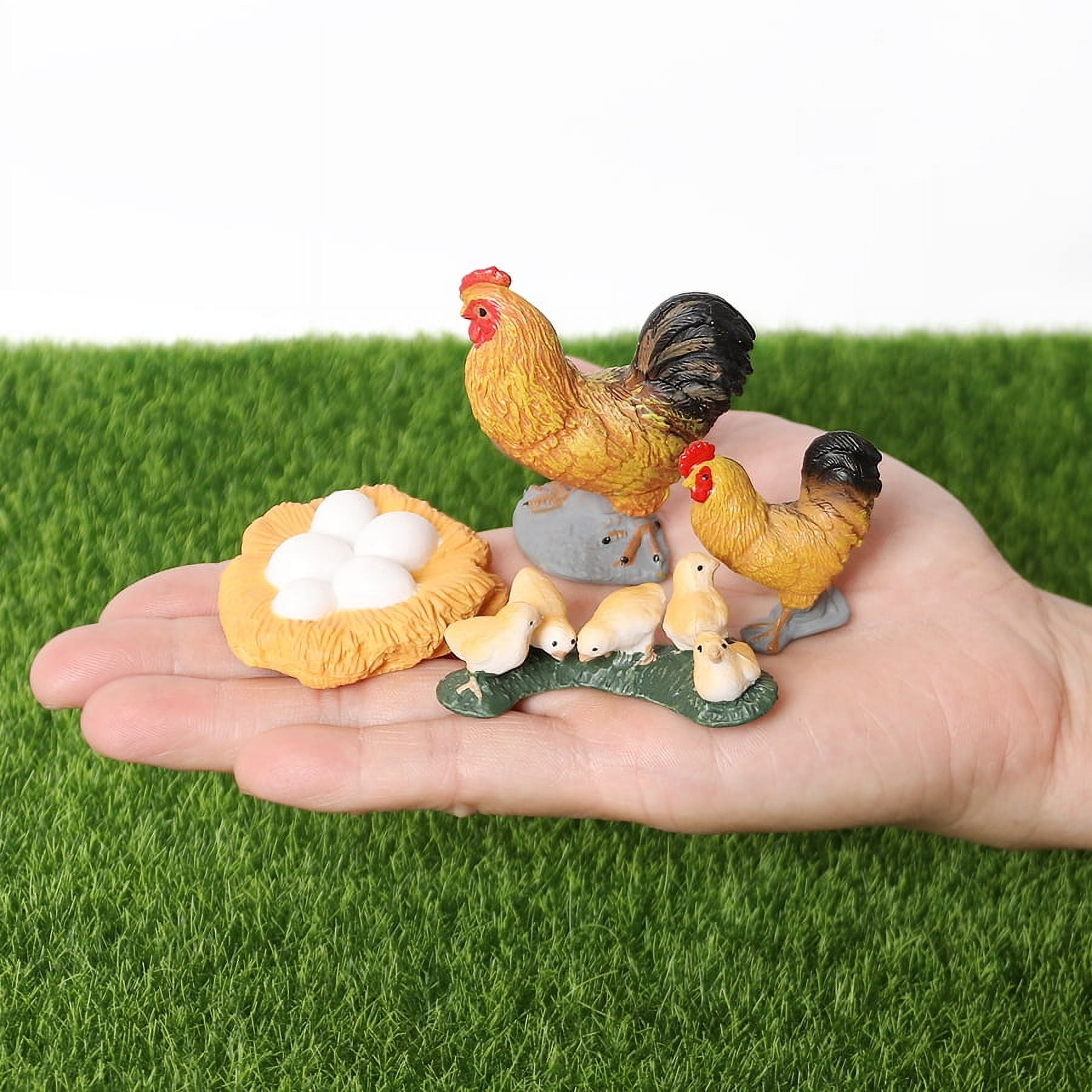 Simulation goose hen Rooster Growth Cycle poultry Life Cycle chicken ...