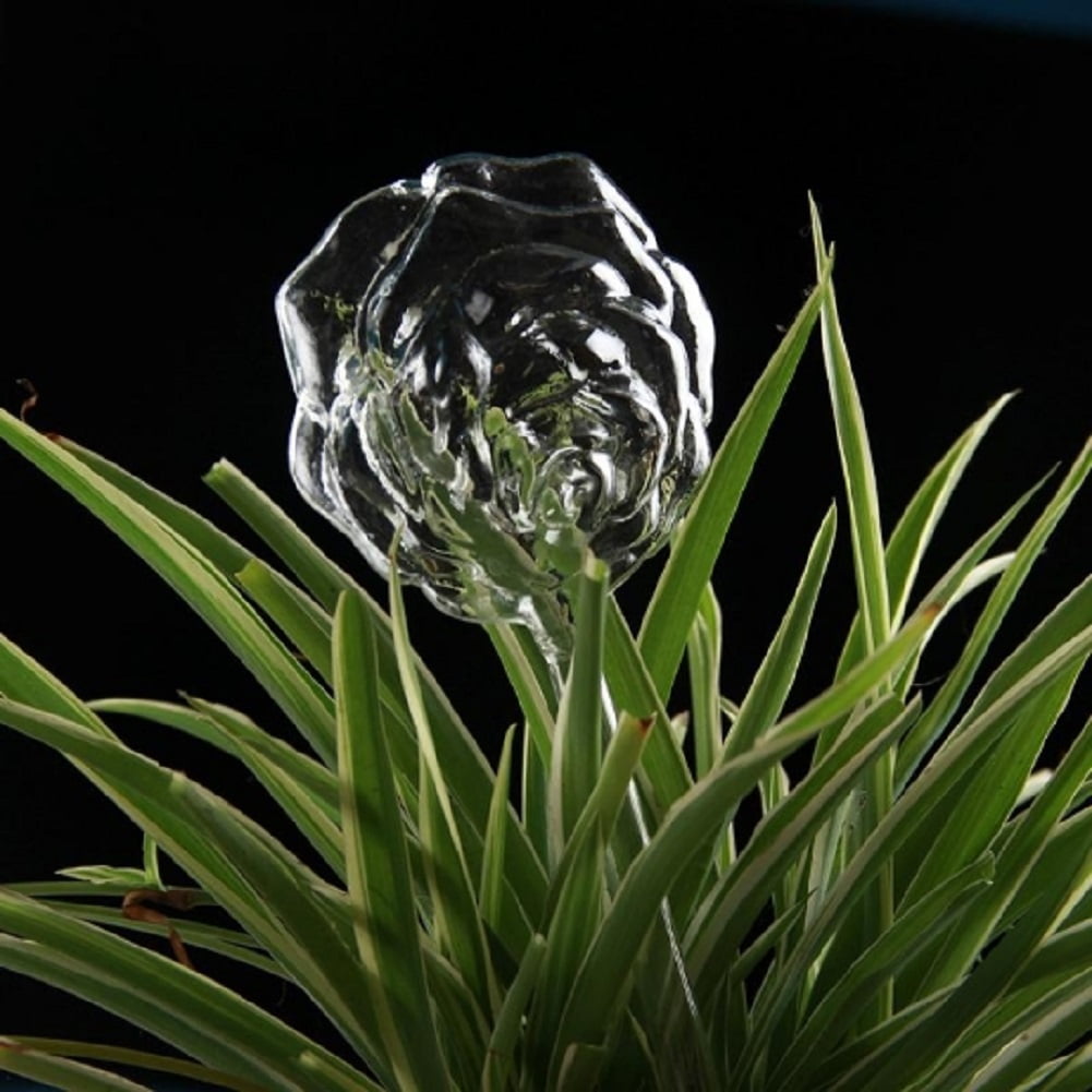 Plant Waterer Self Watering Globes, Hand Blown Clear Glass Plant Water ...