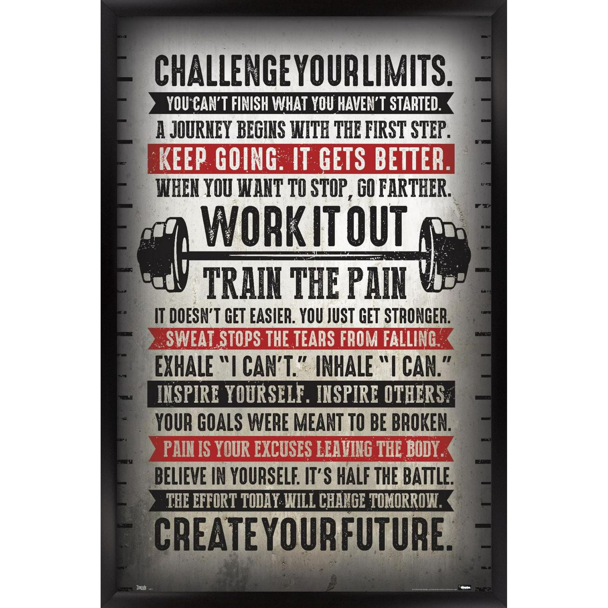 Click here for Trends International Challenge Your Limits Wall Po... prices