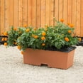 EarthBox Novelty (#80105) Outdoor Plastic Vegetable Planting Container ...