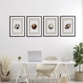 Stupell Industries Vintage Sports Beige Stripes 4 Piece Black Framed ...