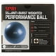 SPRI Weighted Stability Exercise Ball, 55cm, Blue - Walmart.com