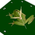 3drose, Cute Climbing Green Tree Frog Vector Art, 15x15 Wall Clock ...
