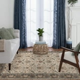 Loomaknoti Minerva Alanso 5' x 7' Oriental Indoor Area Rug , White ...