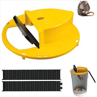 Kness Stick-All Mouse & Insect Trap - Walmart.com