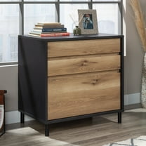 Sauder Office Whitaker Point Engineered Wood 2-Drawer Lateral File in ...