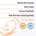 KOIOS - Nootropic Peach Mango Functional Beverage, Enhances Brain ...