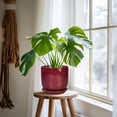 7 Inch Red Ceramic Planter with Drainage Hole – Round Flower Pot for ...