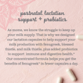 Mommys Bliss Postnatal Lactation Support Probiotics Breastfeeding