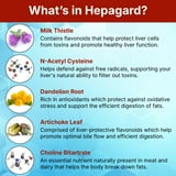 Hepagard - Natural Liver Support, N-Acetyl Cysteine, Non-GMO, Gluten ...