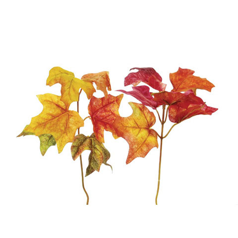 Darice Fall Leaf Picks Maple Leaves 2 Assorted - Walmart.com