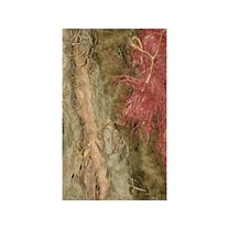 Avery Outdoors KillerWeed Boat Blind Kit, Willow Cypress Camouflage ...