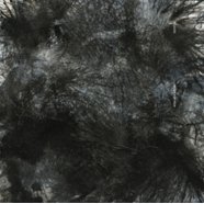 Time Is Winding Up (CD) - Walmart.com