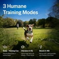 Wrongduck Dog Training Collar 2 Dogs with Remote Control, 4500FT Range ...