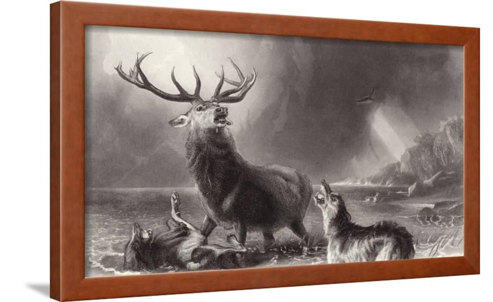 The Stag at Bay, Animals Framed Art Print Wall Art by Edwin Henry ...