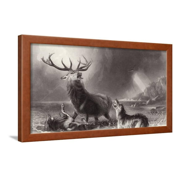 The Stag at Bay, Animals Framed Art Print Wall Art by Edwin Henry ...