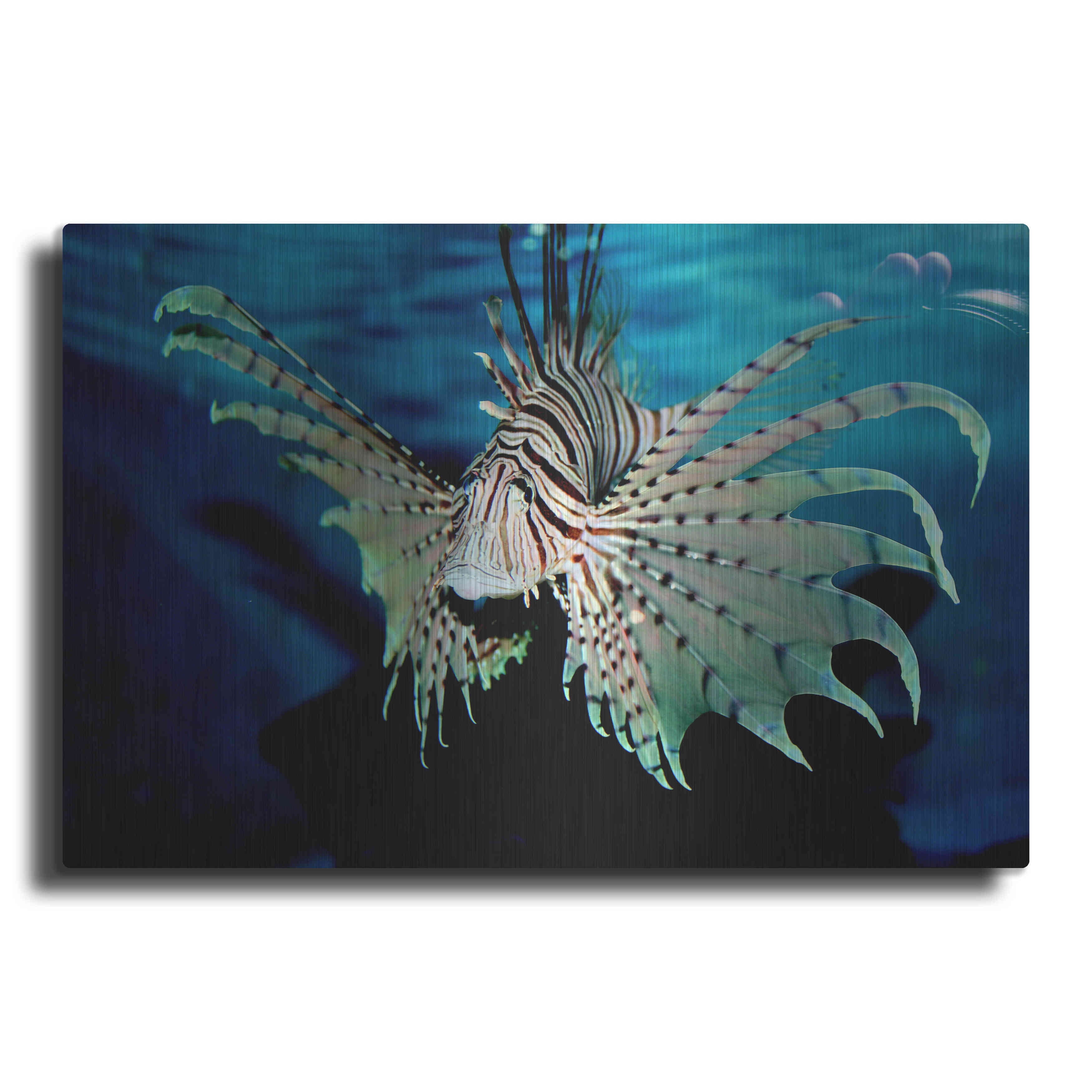 Luxe Metal Art 'BOO' by Epic Portfolio, Metal Wall Art, 24"x16 ...