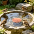 Bird Bath Purification Disk 4" Copper Algae Control Cleaner Rustproof ...