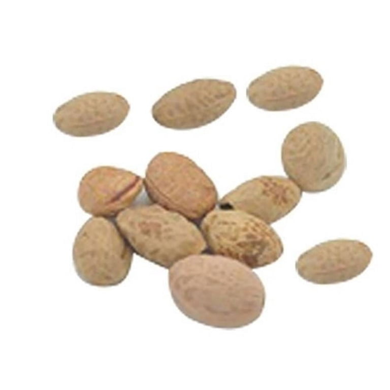 Cherry Tree Seeds