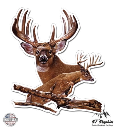 Deer - 12" Vinyl Sticker Waterproof Decal - Walmart.com