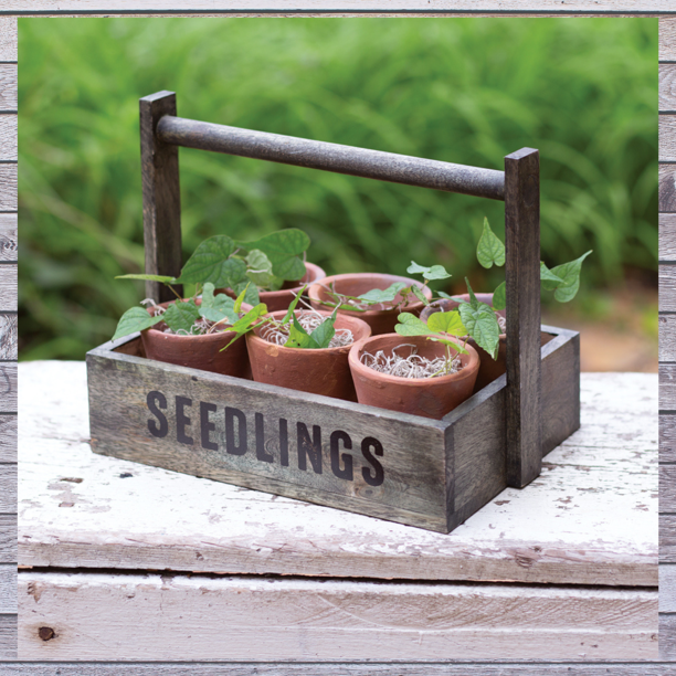 Seedling Pots Caddy - Plant Box - Rectangular Planter Outdoor Garden ...