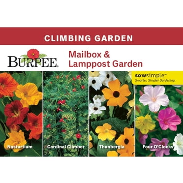 Burpee Trellis & Fence Garden Starter Garden Flower Seed Collection, 1 ...