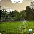 Organic Whole Sesame Tahini Paste - Bulk 6.6lb Bucket - Unhulled ...