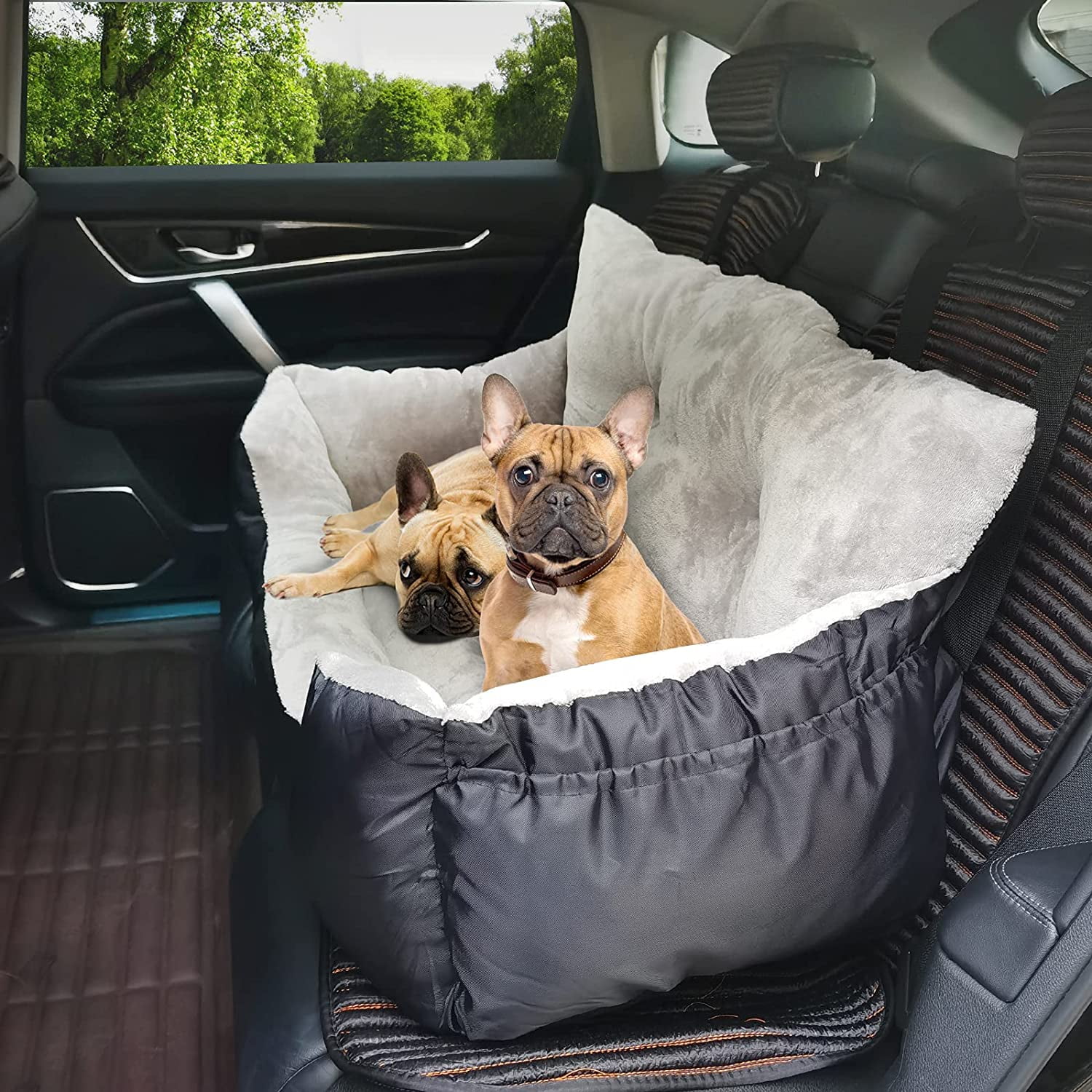 Are Booster Seats For Dogs Safe Good To Go