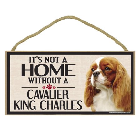 Imagine This Wood Sign for Cavalier King Charles Dog Breeds | Walmart ...