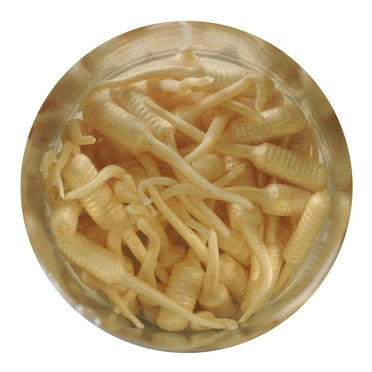 Berkley Gulp! Alive! Maggots - Walmart.com