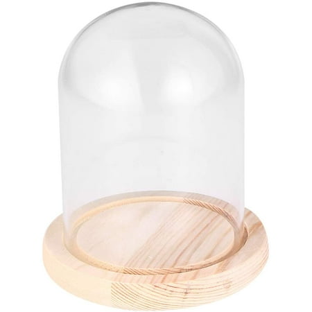 Glass Display Dome Decorative Clear Glass Dome with Wood Base Tabletop ...