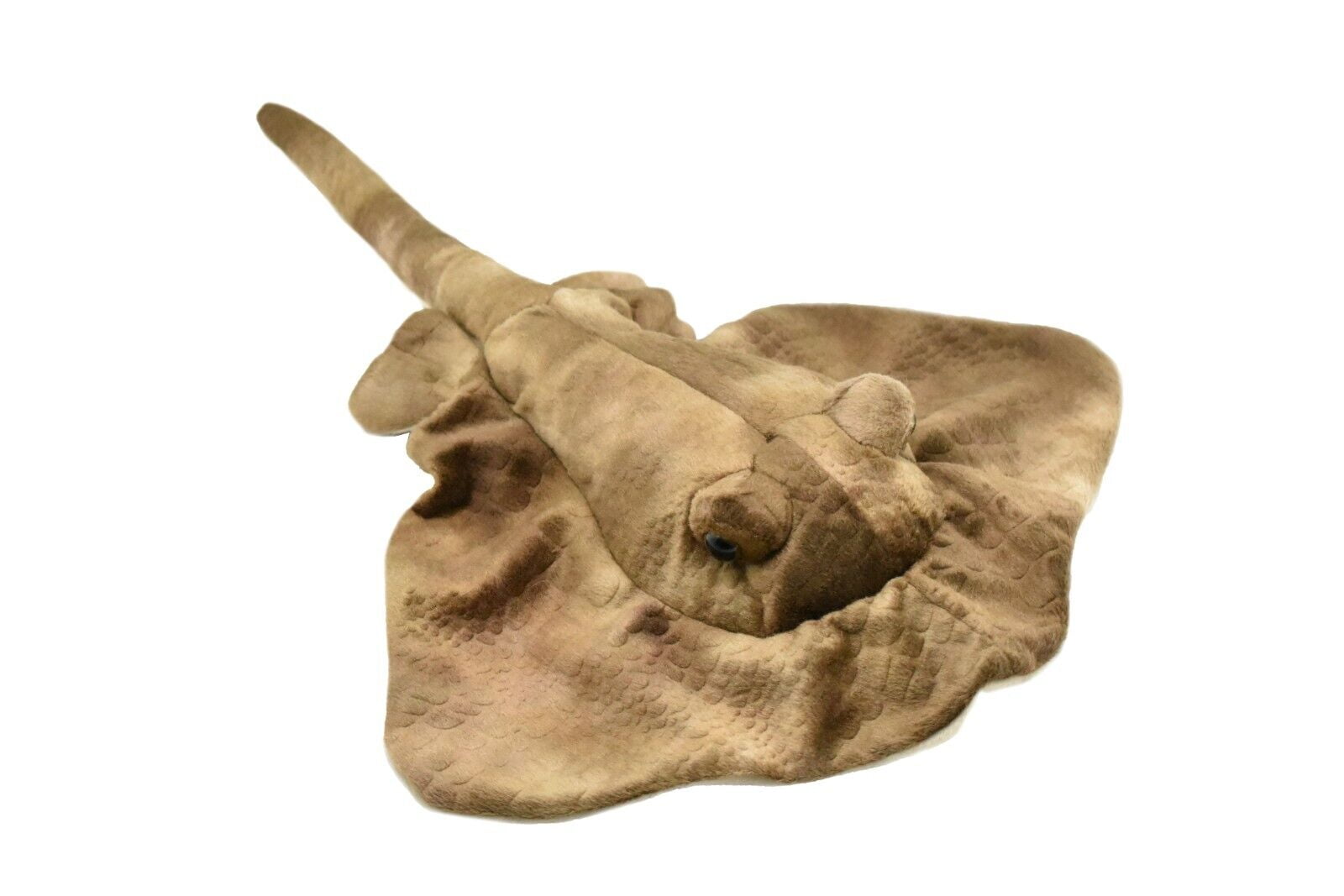 Stingray, Realistic, Lifelike, Stuffed, Soft, Toy, Educational, Animal ...