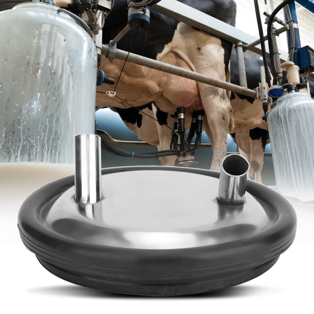 Click here for Dewin Milk Bucket Lid And Gasket stainless Steel M... prices