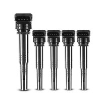 Autopart Premium Ignition Coil Kit, Compatible with 2014-2019 ...