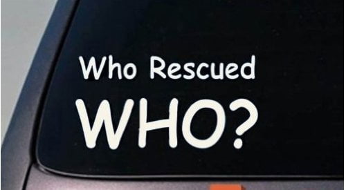 WHO Rescued Who? Sticker Funny Car Decal Window Laptop 6" *C914 ...