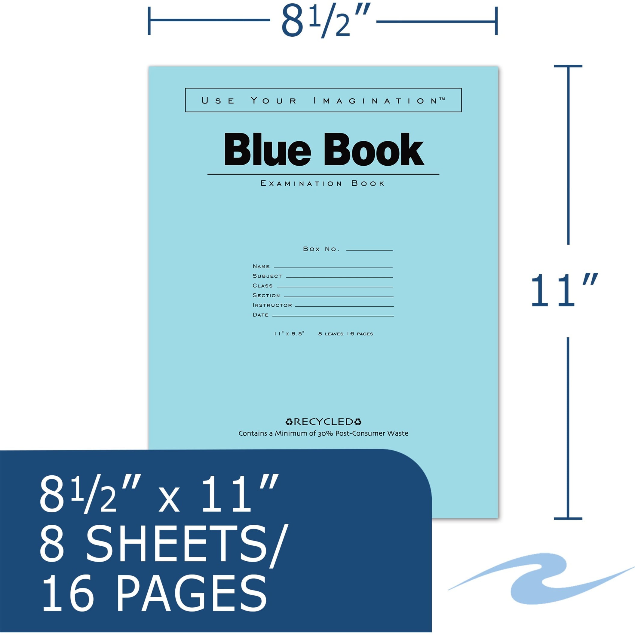 Buy Roaring Spring Recycled Test Blue Exam Book, 1 Case (500 Total ...