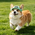 Green M Dog Sun Hat For Golden Hound Breathable Ear Protection M ...