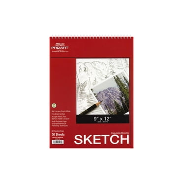 Pro Art Drawing Paper Pad 9"x12" 25 sheets, 80lb, Wire, Sketch Book ...