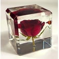 Red Rose Encased in 2.4" Crystal Clear Lucite Resin Paperweight Cube ...