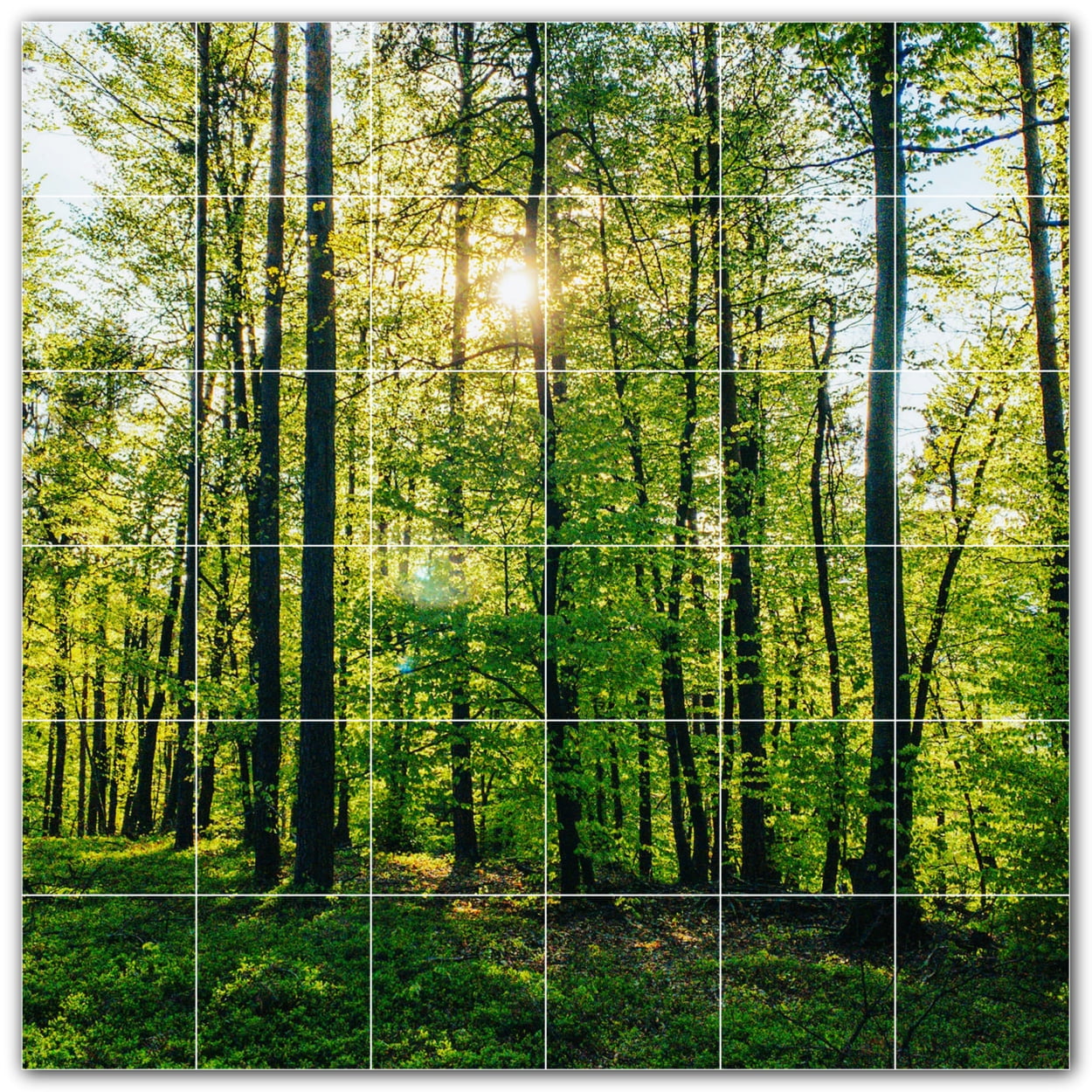 Picture-Tiles.com: Trees Ceramic Tile Wall Mural WAL501023-66M. 36"W x ...
