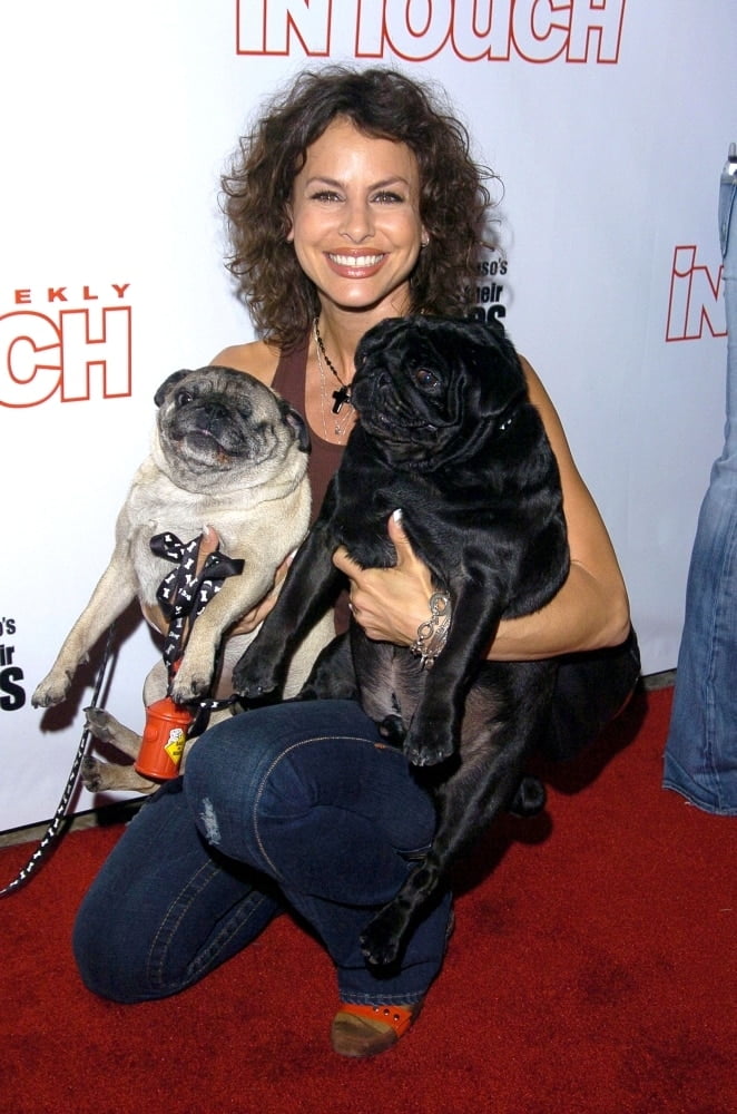 Natalie Raitano At Arrivals For In Touch Weekly Pets And Their Stars ...