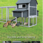 Precision Pet Cape Cod Chicken Coop - Walmart.com